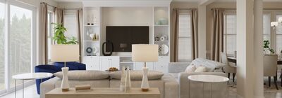 Subtle Glam Combined Living and Dining Room ... | Decorilla