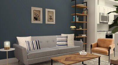 Top Contemporary Interior Designer, Ani K. | Decorilla