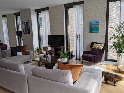 Top Contemporary Interior Designer, Ibrahim H. | Decorilla