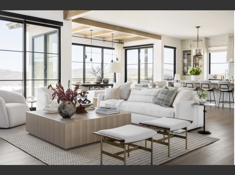 Multi Purpose Open Plan Living & Dining | Decorilla