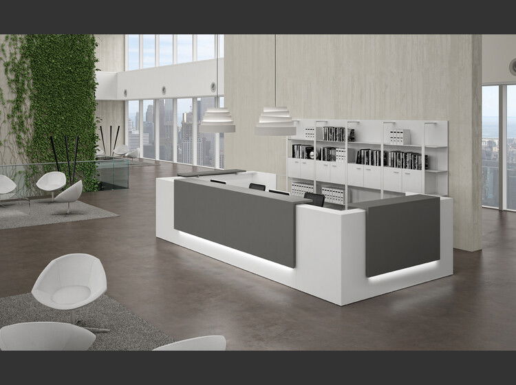 Fresh and Modern Reception Area Design | Decorilla