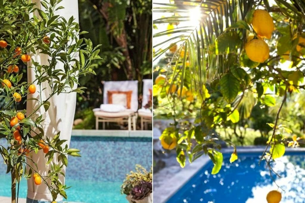 Top 18 Poolside Decorating Ideas for a Backyard Oasis | Decorilla